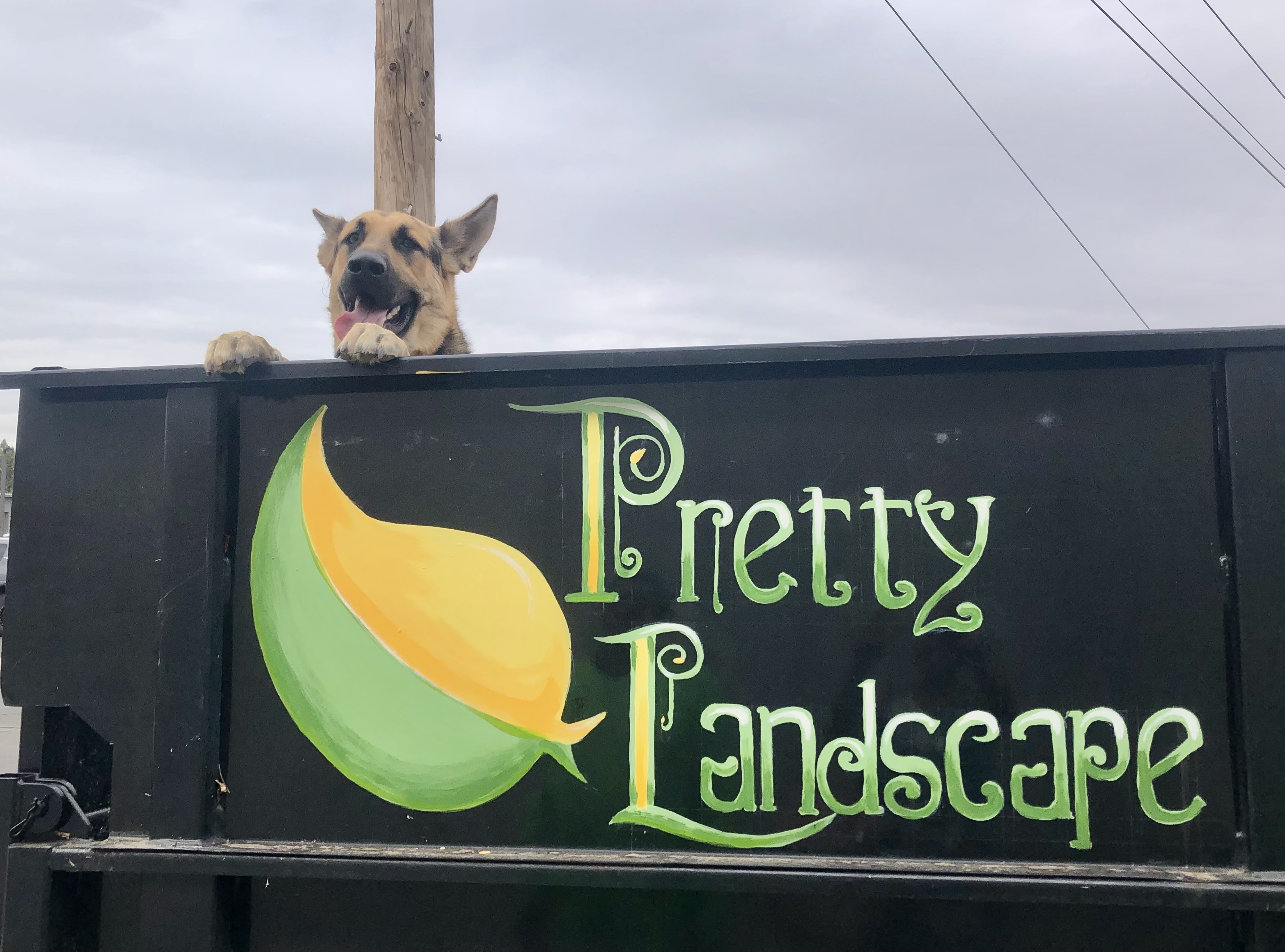 Services – Pretty Landscape